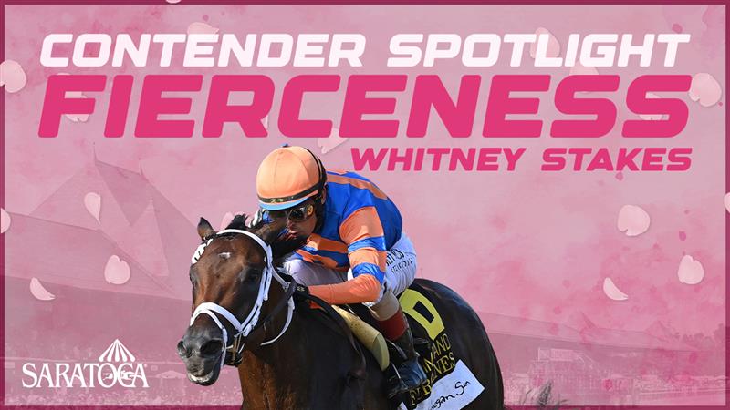 Fierceness | 2025 Horses | Whitney Contenders