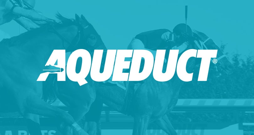 Race Replays | Aqueduct Racetrack