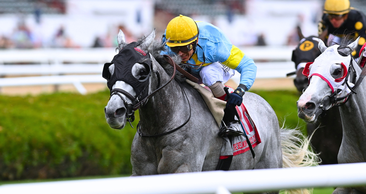 Grey Thoroughbred Racing