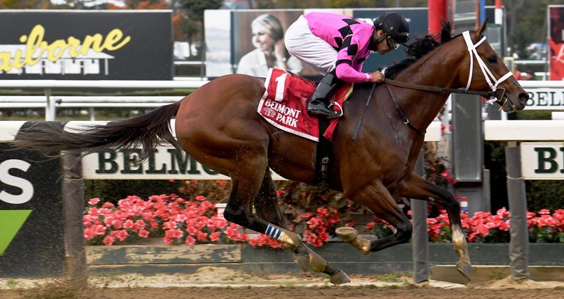 Maximum Security locks up lead in impressive G3 Bold Ruler victory ...