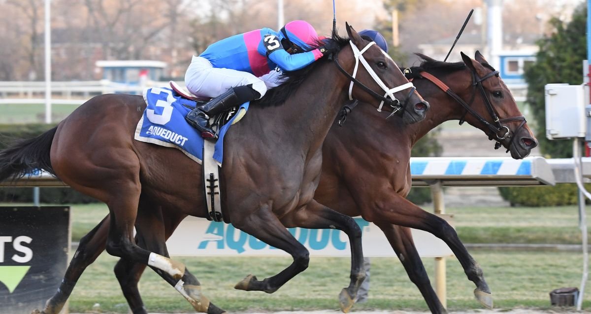 Pretty Ana all heart to win G3 Comely | Aqueduct
