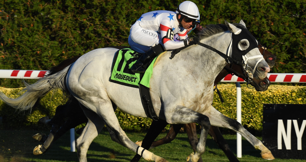 Master Piece picture perfect in G2 Red Smith | Aqueduct