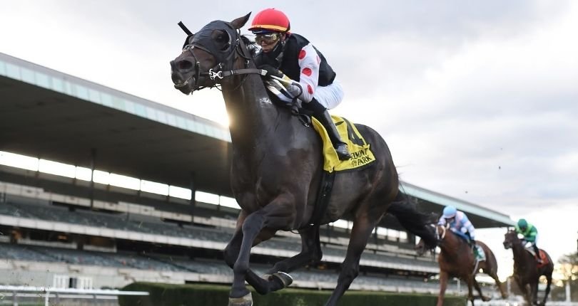 Wet Your Whistle notches another graded stakes win with Belmont Turf ...