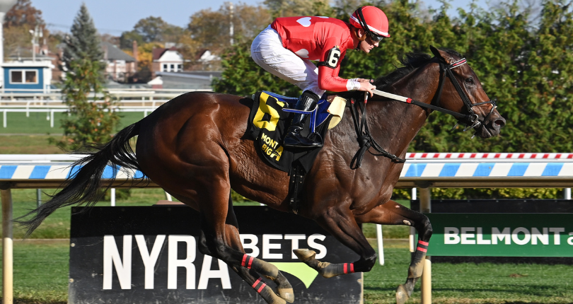 Xigera makes the grade in G2 Mother Goose | Aqueduct