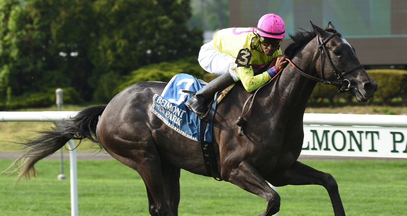 Olympico looks to do one better in rescheduled Knickerbocker (G2 ...
