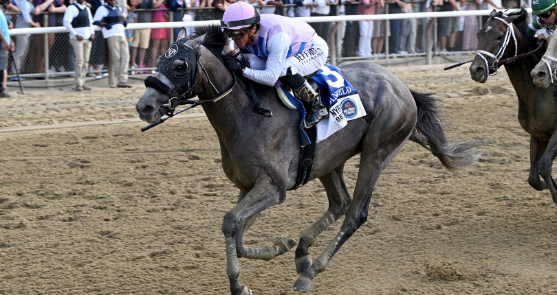 Arcangelo works for G1 Travers | Saratoga