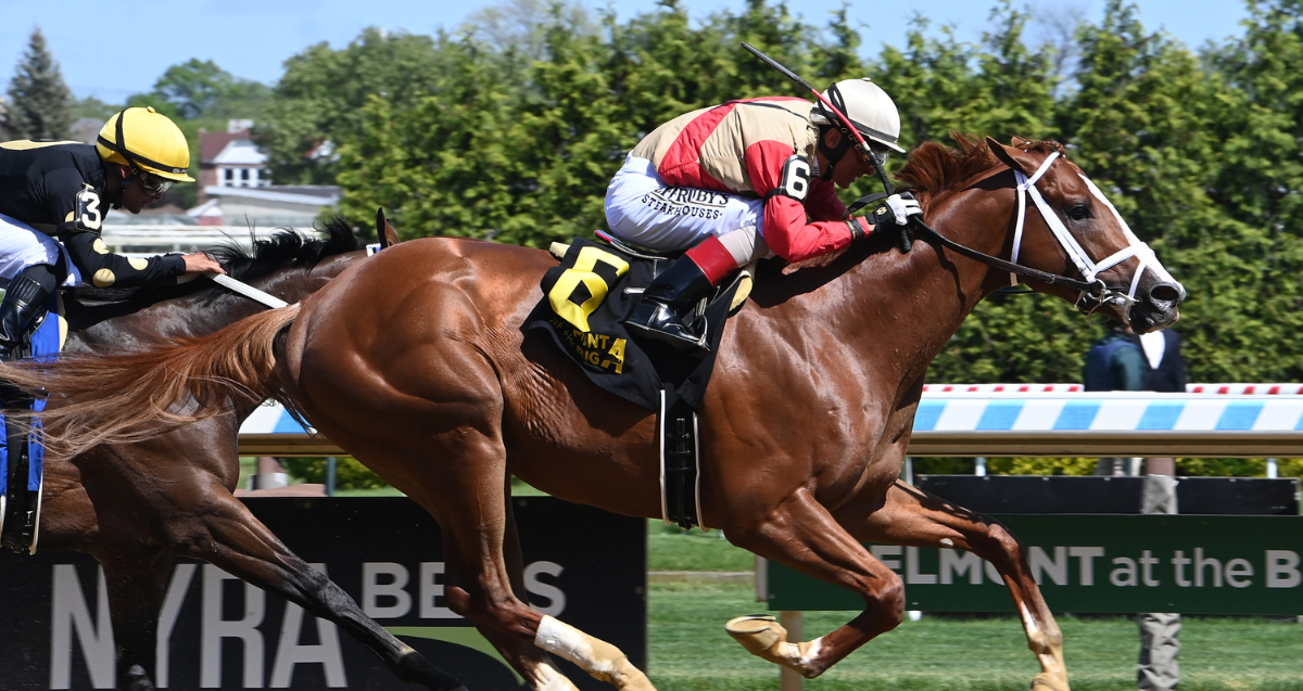 Antiquarian collects first graded win in G3 Peter Pan | Aqueduct