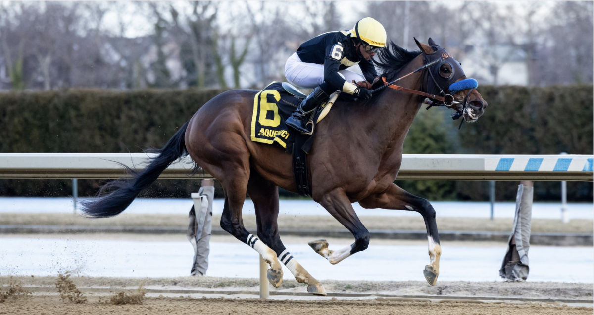 Cyclone State takes $150K Jerome by storm | Aqueduct