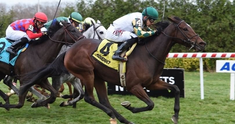 Feel Glorious arrives in time in $100K Forever Together | Aqueduct