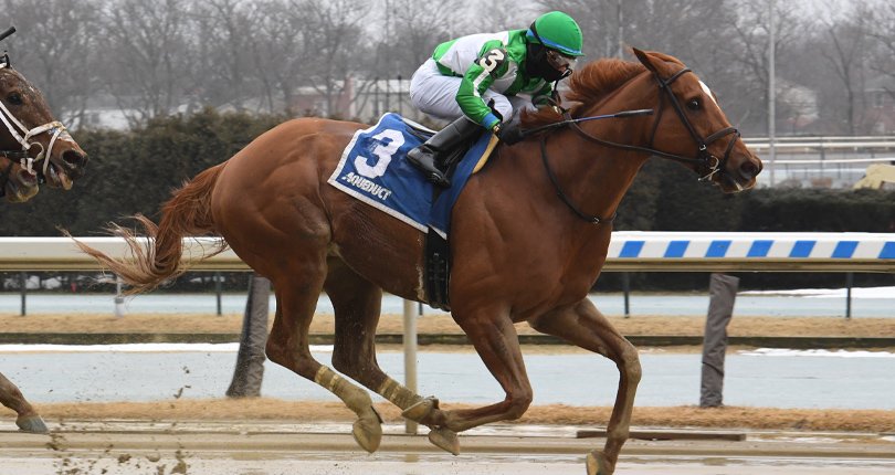 Mr. Buff seeks first graded win in G3 Excelsior | Aqueduct