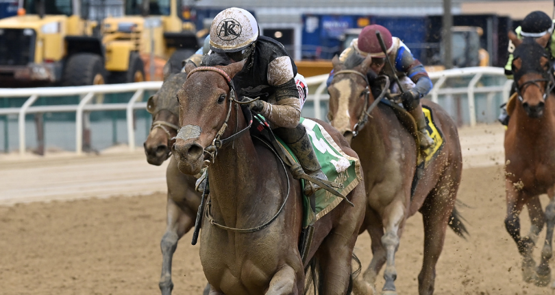 Red-hot Funny How could target G3 Distaff Handicap | Aqueduct