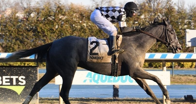 Sterling Silver tries open company again in G3 Victory Ride | Belmont Park