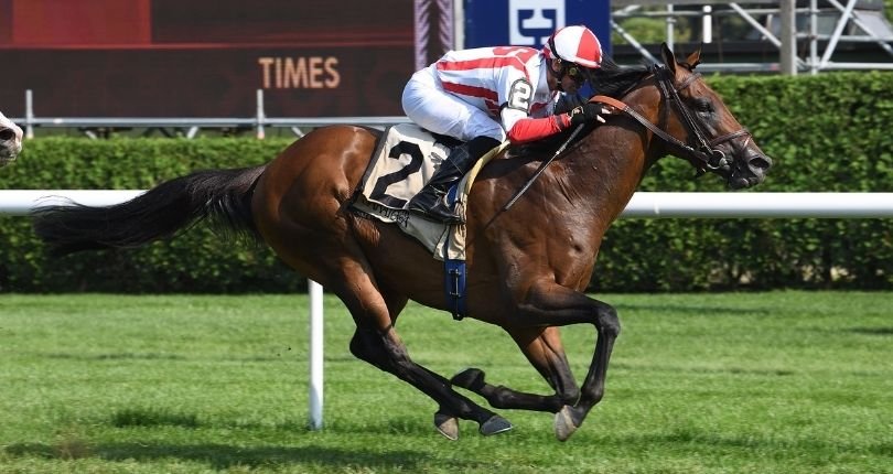 Brown-trained trio leads the charge in G3 Knickerbocker | Aqueduct
