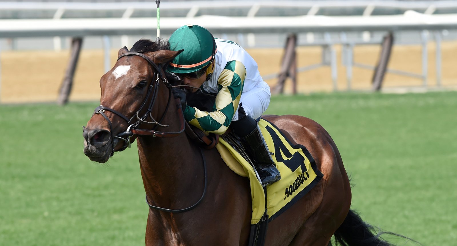Feel Glorious looks to stay unbeaten in North America in G3 Soaring ...