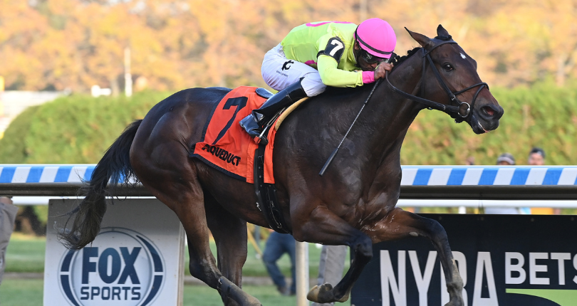 Battle Bling brings luster to $150K Ladies | Aqueduct