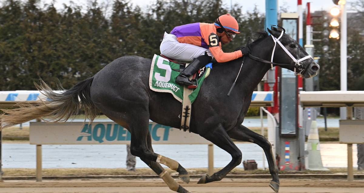 Bergen much the best in Jimmy Winkfield | Aqueduct