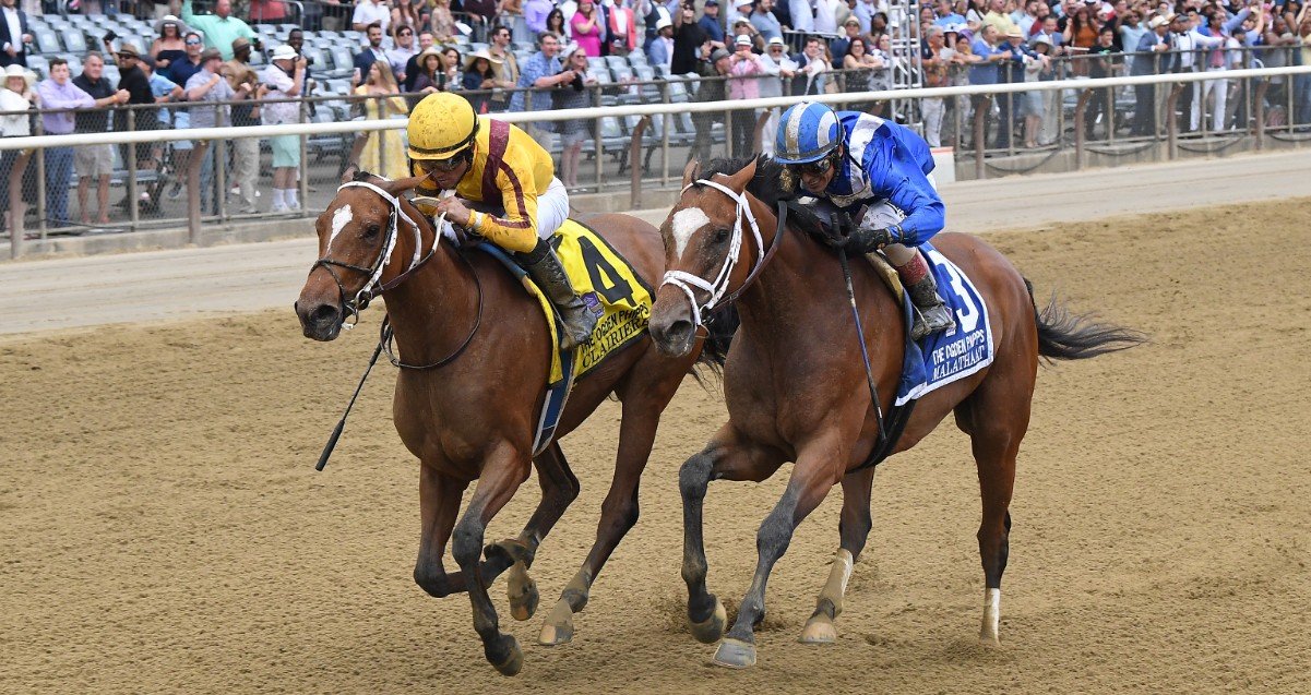 Multiple Grade 1-winners Clairiere and Malathaat renew rivalry in G2 ...