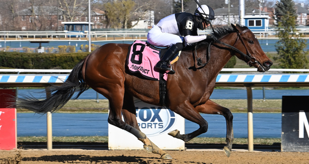 Stonewall Star finds her form in $100K Biogio’s Rose | Aqueduct