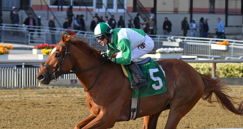 Mr. Buff too strong in $100K Alex M. Robb | Aqueduct