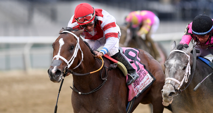 Lord Miles posts 59-1 upset in G2 Wood Memorial presented by Resorts ...