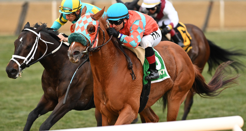 Nothing Better goes wire-to-wire in $150K Aqueduct Turf Sprint ...