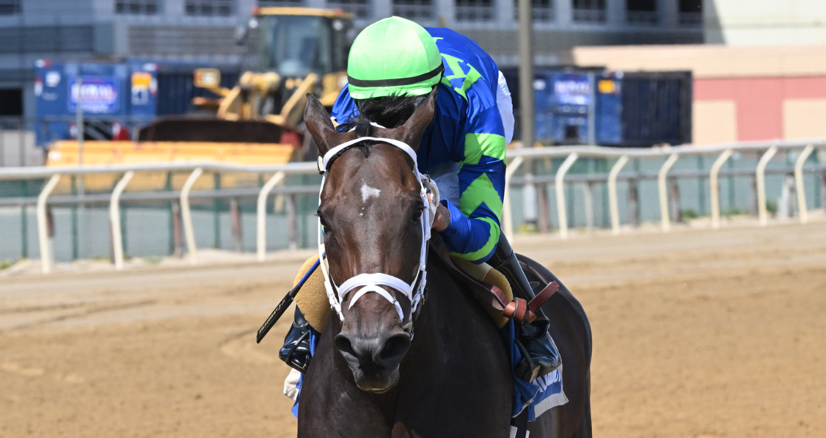 Tizzy in the Sky returns in G3 Go for Wand | Aqueduct