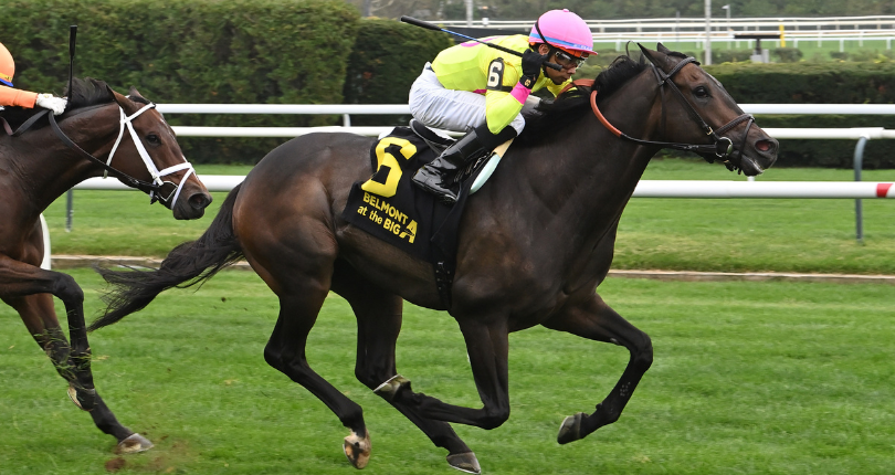 Chad Brown holds strong hand in weekend stakes as turf racing returns ...