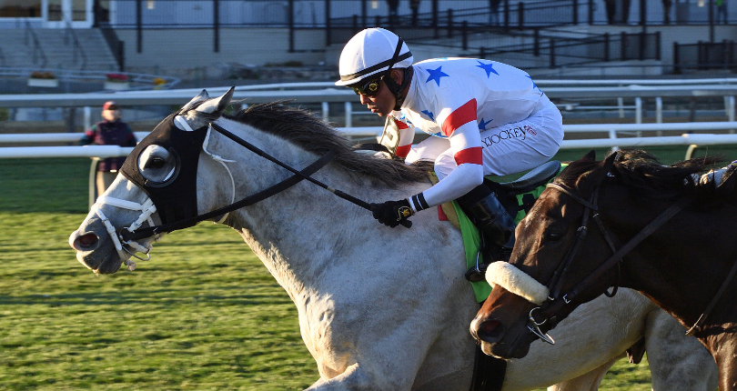 Master Piece seeks back-to-back victories in G2 Red Smith | Aqueduct