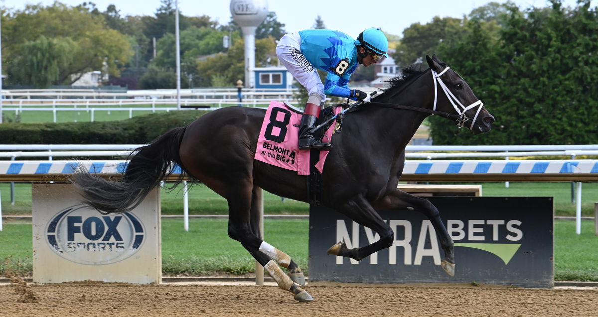 Wild Mama steps up in Listed $150K Tempted | Aqueduct