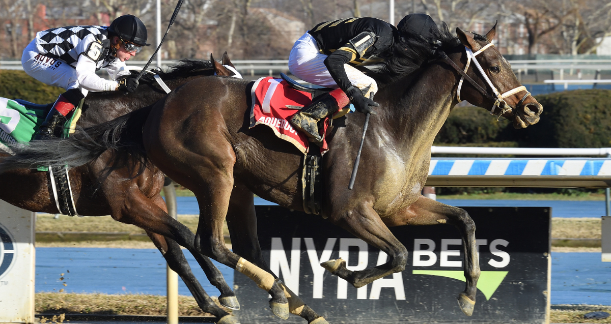 Gin Gin on path to Kentucky Oaks with $100K Busanda victory | Aqueduct