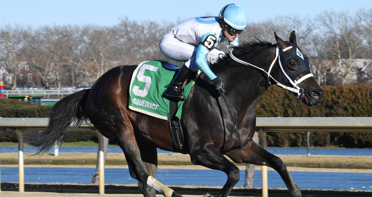 Super Chow brings an appetite for success to G2 Carter presented by ...