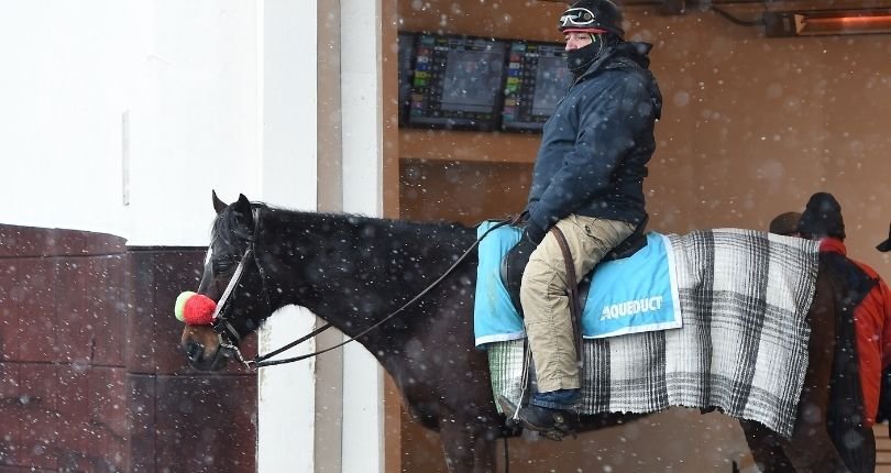 Saturday racing at Aqueduct canceled due to winter storm | Aqueduct