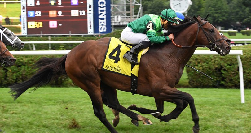 Raging Bull goes back into the ring for G1 Fourstardave | Saratoga