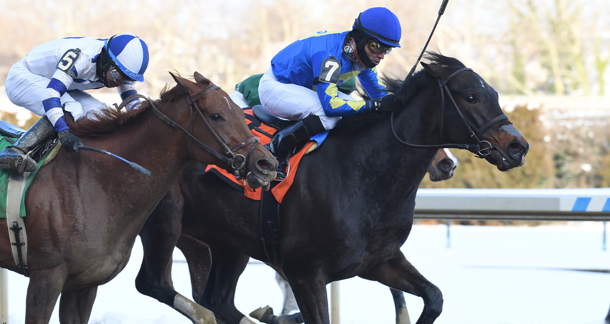 Security Code earns elusive stakes score in $100K Broadway | Aqueduct