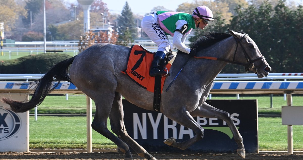 Castellano posts five wins on Opening Day of the Aqueduct fall meet ...