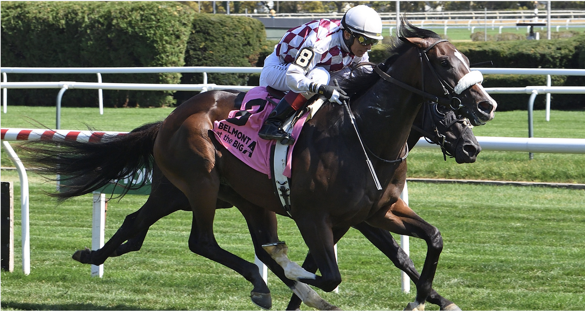 Tiz Dashing set for stakes debut in Listed $150K Awad | Aqueduct