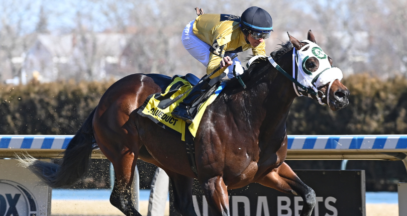 Drew’s Gold remains undefeated in $100K Jimmy Winkfield | Aqueduct