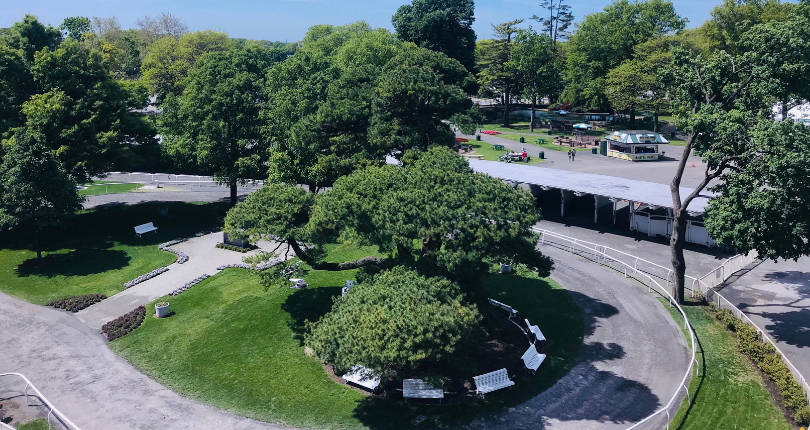 Point of Honor seeks elusive win in Beldame (G2) | Belmont Park