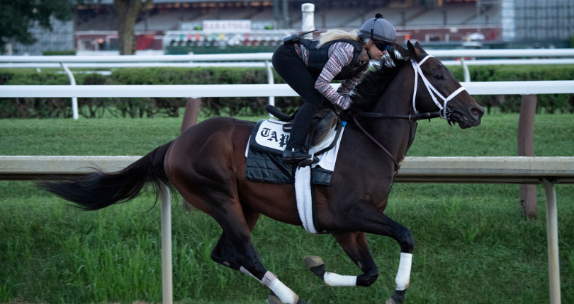 Best of 2022: Amelia Green | Aqueduct