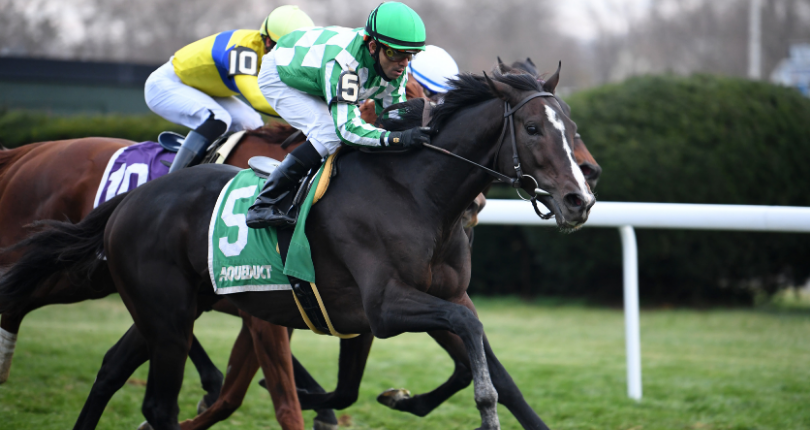 Late-blooming North Dakota rallies late in stretch to win Red Smith (G3) | Aqueduct