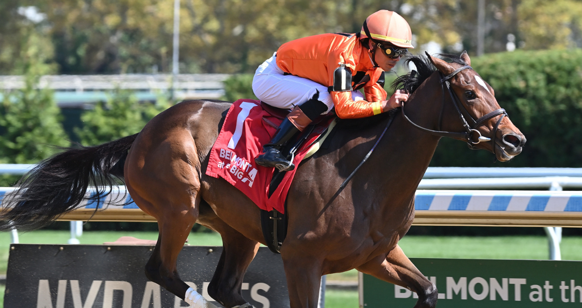 Impressive New York-bred With the Angels comes under consideration for G1 Frizette | Aqueduct