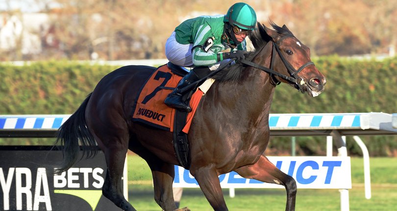 Big Q cashes in on Key Cents victory; targets NYSSS Fifth Avenue next ...