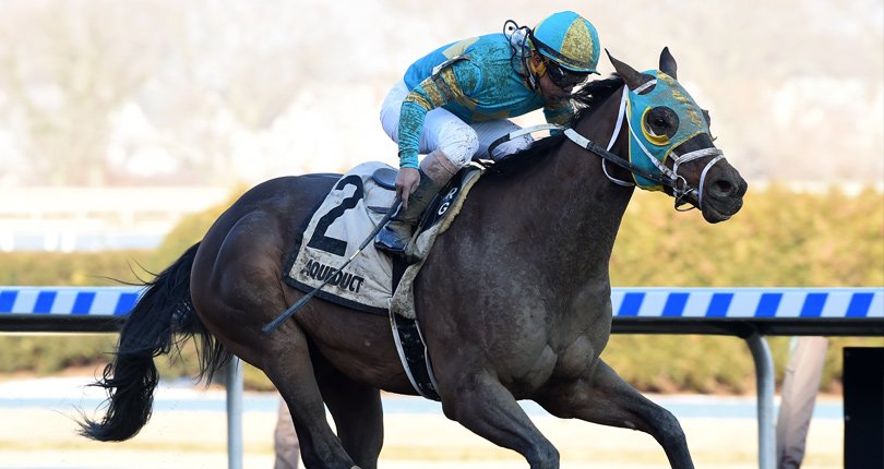 Do Share keeps glory to himself with convincing G3 Tom Fool Handicap ...