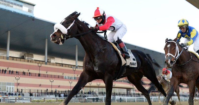 Chowda looks for third straight win in headlining Sunday's $100K Damon ...