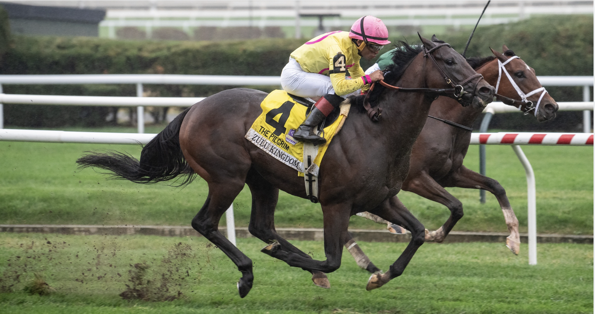 Zulu Kingdom doubles up on graded wins in G2 Pilgrim | Aqueduct
