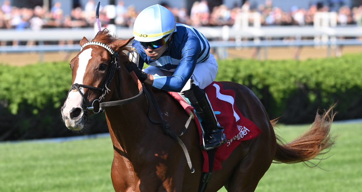 Gala Brand returns to action in $150K Wild Applause | Aqueduct