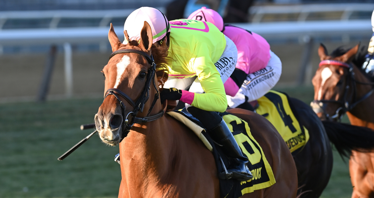 Chili Flag surges to victory in $135K Forever Together | Aqueduct