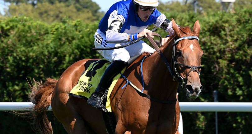 Noah And The Ark sinks favored Snap Decision in G1 Lonesome Glory | Aqueduct