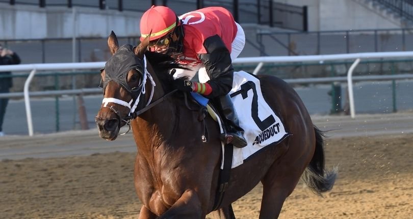 Lady Rocket makes the grade in G3 Go for Wand | Aqueduct