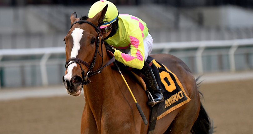 More Mischief makes trouble for field in capturing Biogio's Rose | Aqueduct